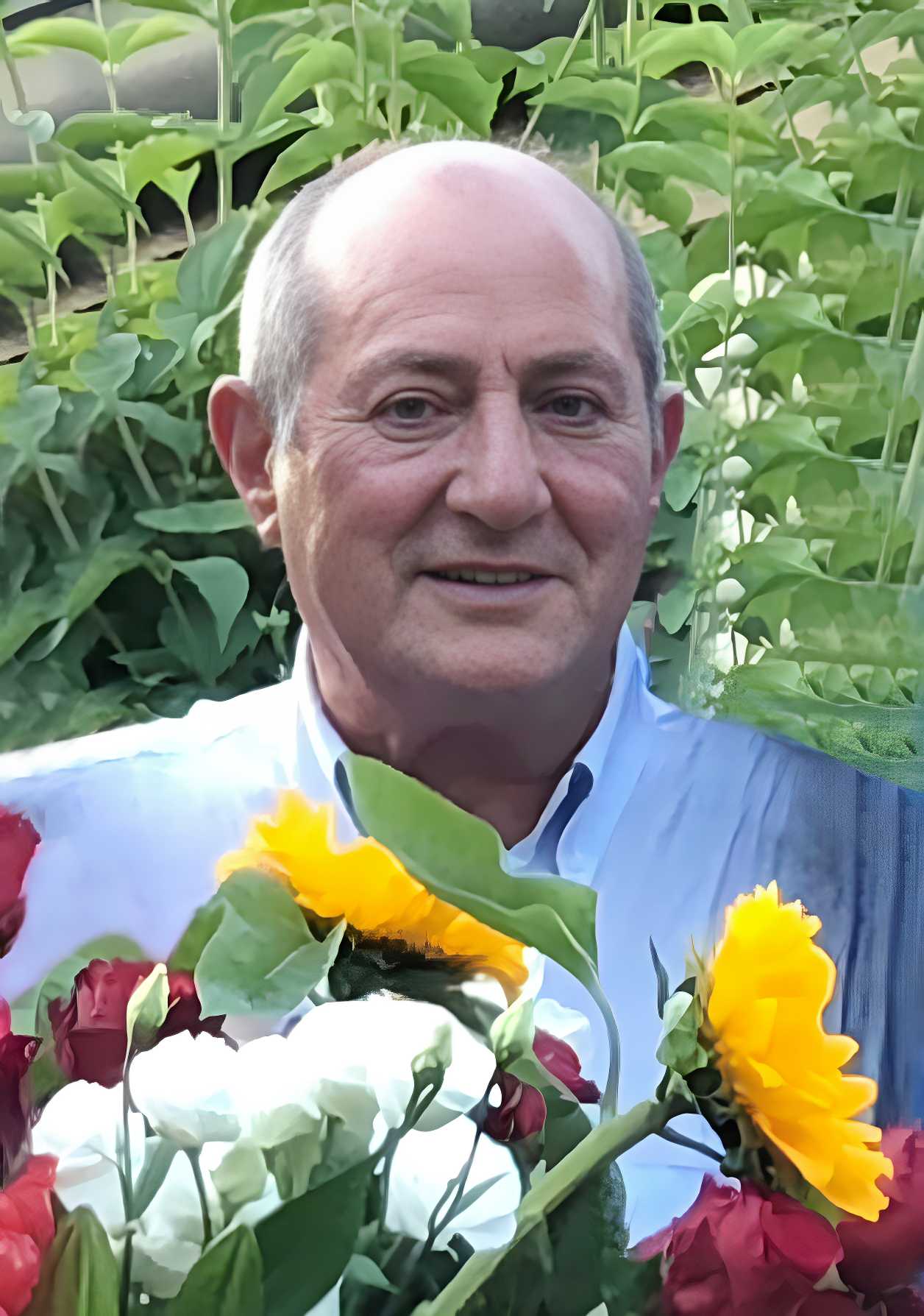 Ghirardo Epigrafe online